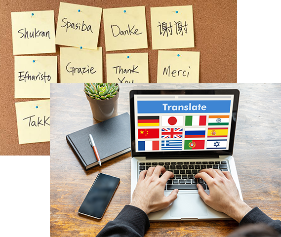 Top Level Translations | Translation Services